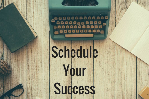 Schedule Your Success - Anita Joy Anderson